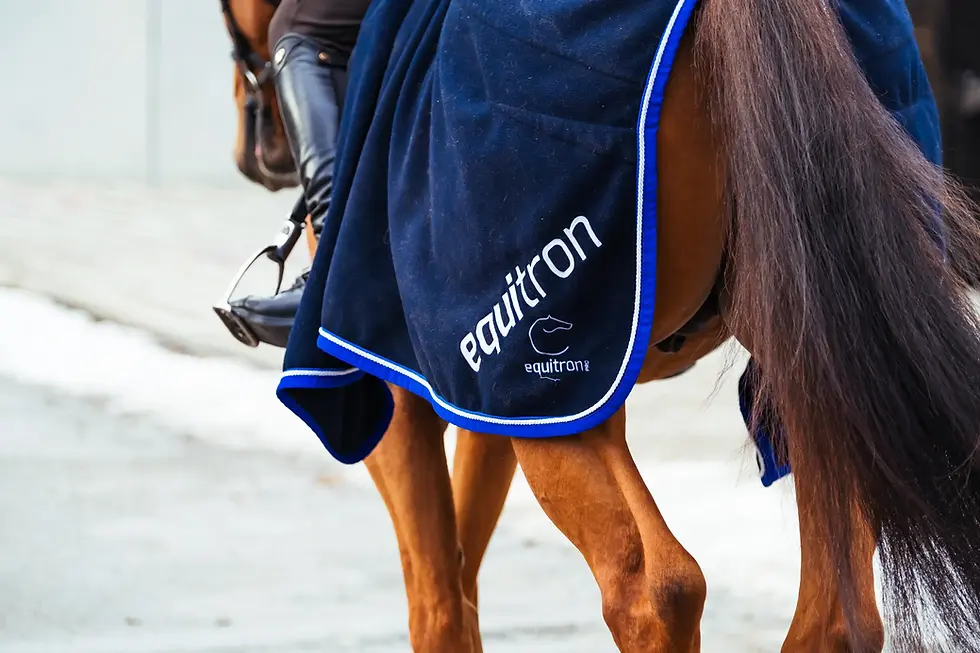 equitron-pro | Success is Transformed Energy