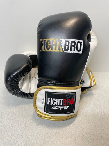 Boxing Gloves | ZMA Combat & Fitness