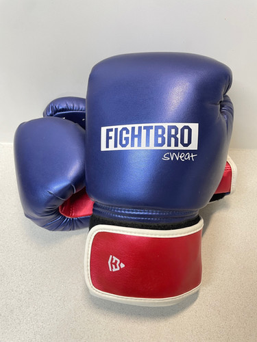 Boxing gloves | ZMA Combat & Fitness