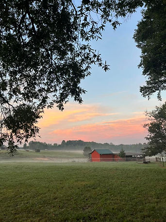 Still Water Farm | Horse Farm Facilities | Ammenities | Boarding