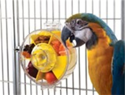 PT00756 Paradise Toys Gen II Giant Foraging Wheel | Bastropcages