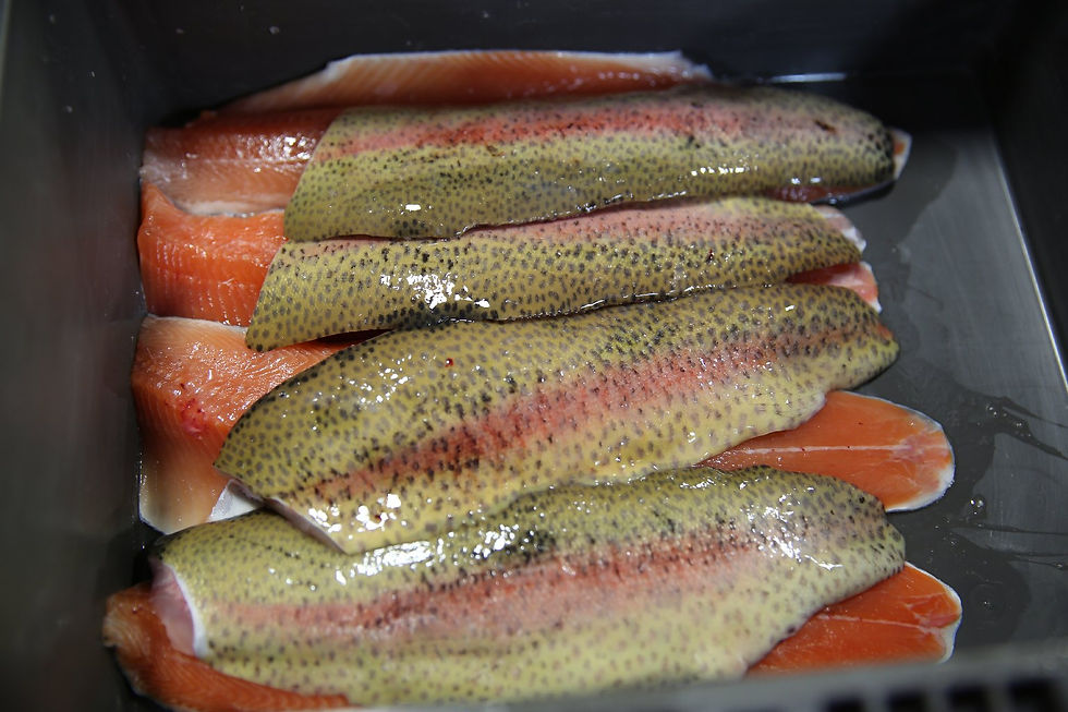 Red Rainbow Trout Fillets 3 pound Box | Fresh Seafood DELIVERED ...