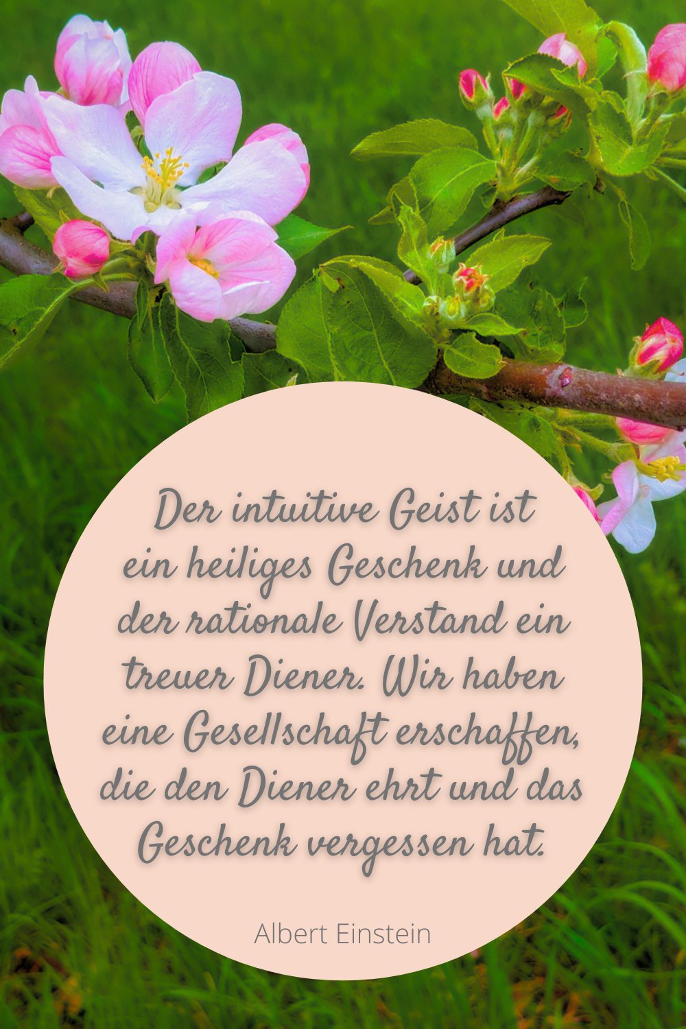 Vom Kopf zurück ins Herz - Über das Wiederfinden verlorener Intuition