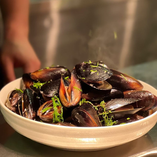 Boston Bay Blue Mussels | Hiddendoorconcepts
