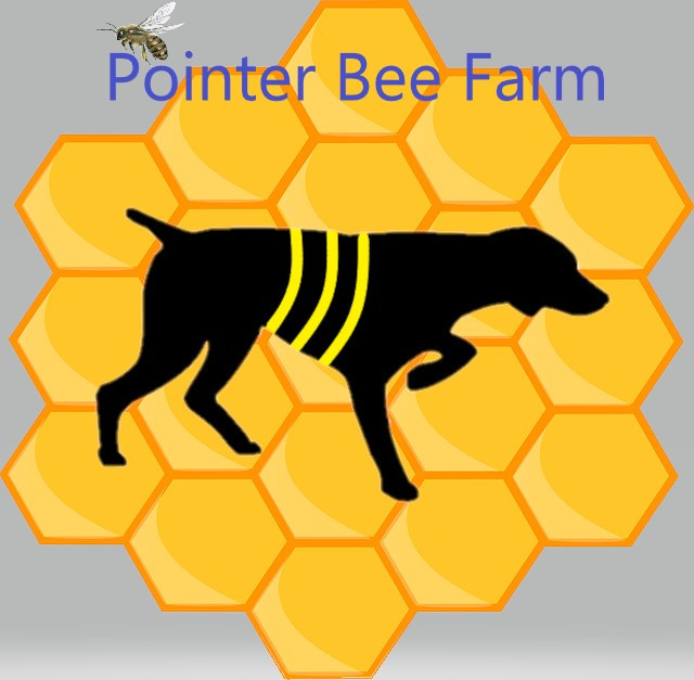 Honey | Pointer Bee Farms | Rahway