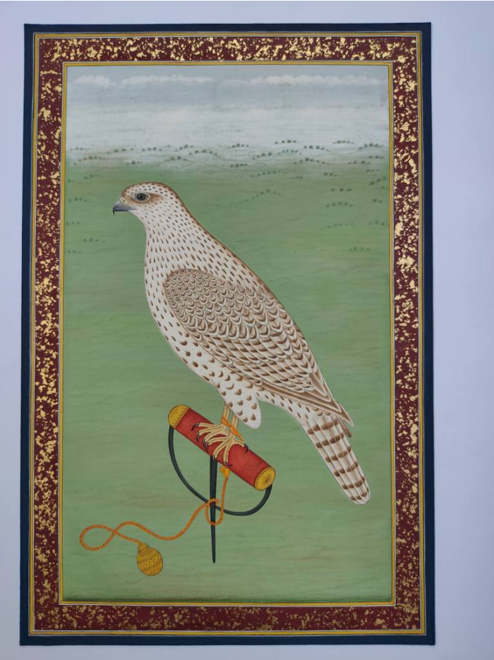 Falcon on a Bird RestFalcon on a Bird Rest