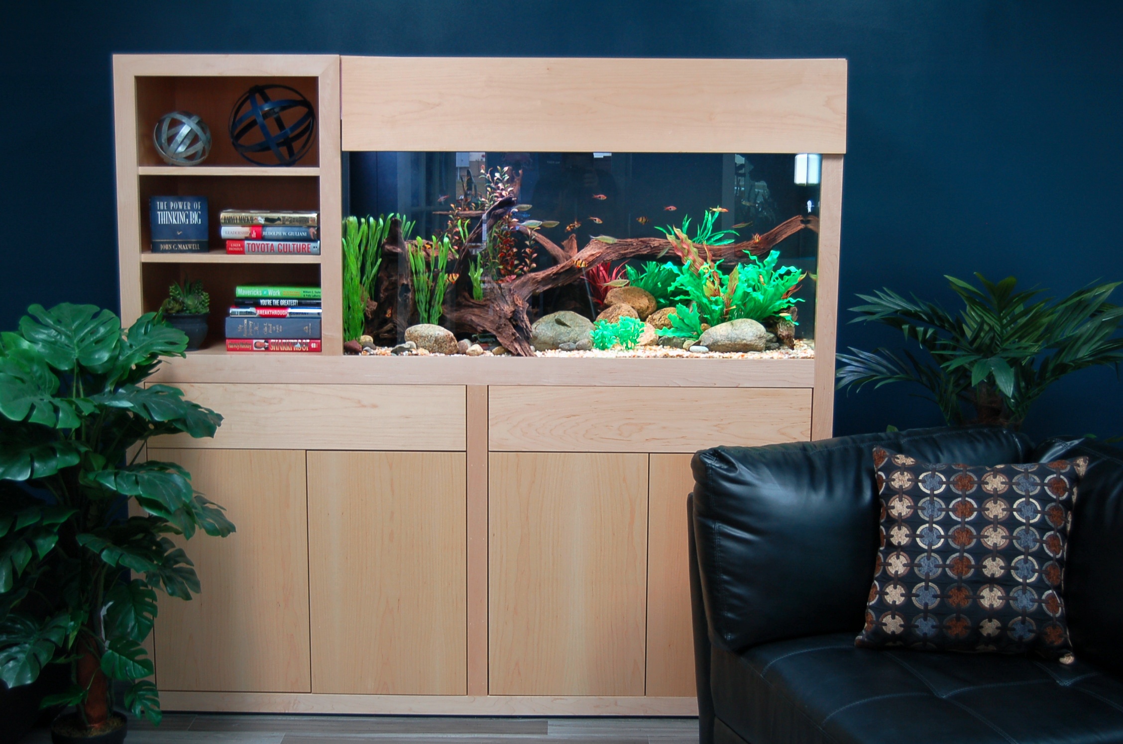 Aquarium Services | United States | Something Fishy, Inc.