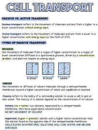 STEMthusiast | BIOLOGY NOTES