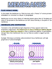 STEMthusiast | BIOLOGY NOTES
