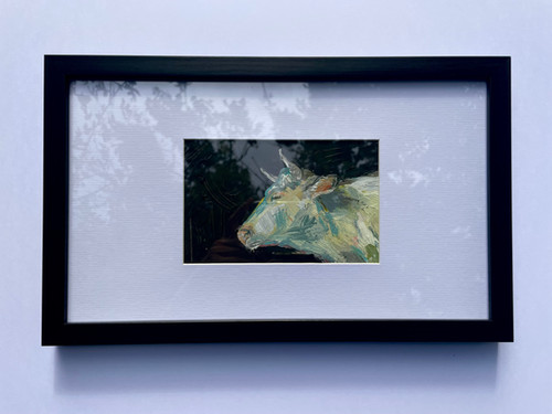 Charolais Cow | Artist Kate Field