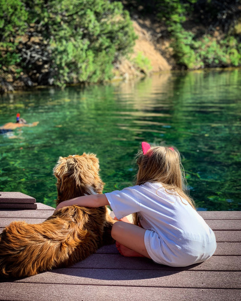 amenities | 3 Spear Ranch