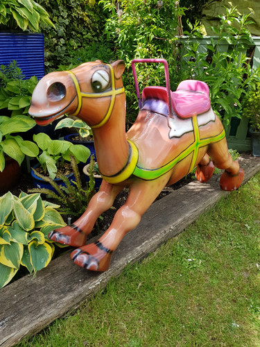 Fairground Camel - HIRE £65 | Wedding Prop Shop