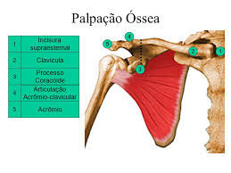 PROCESSO CORACÓIDE, OS DADOS SOBRE FRATURA E TRATAMENTO