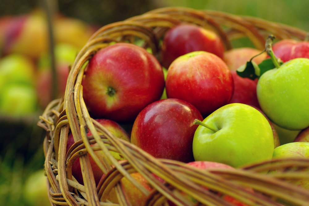 Apple Board | Charlottesville, Virginia | Virginia Apple Board