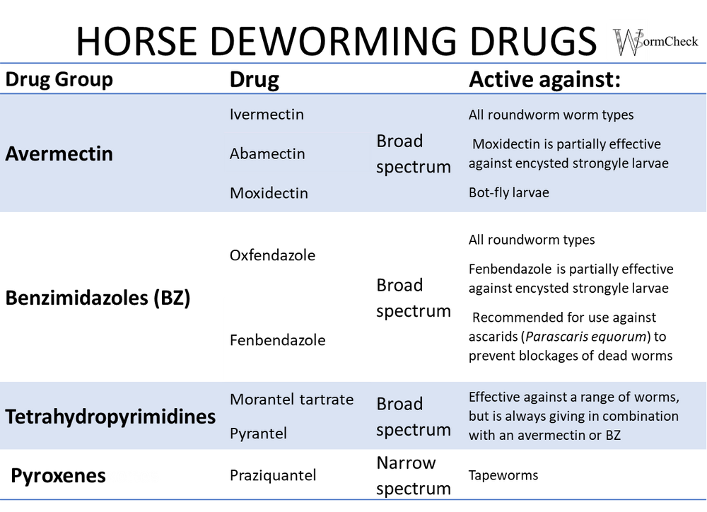 Horse Dewormers - types and uses