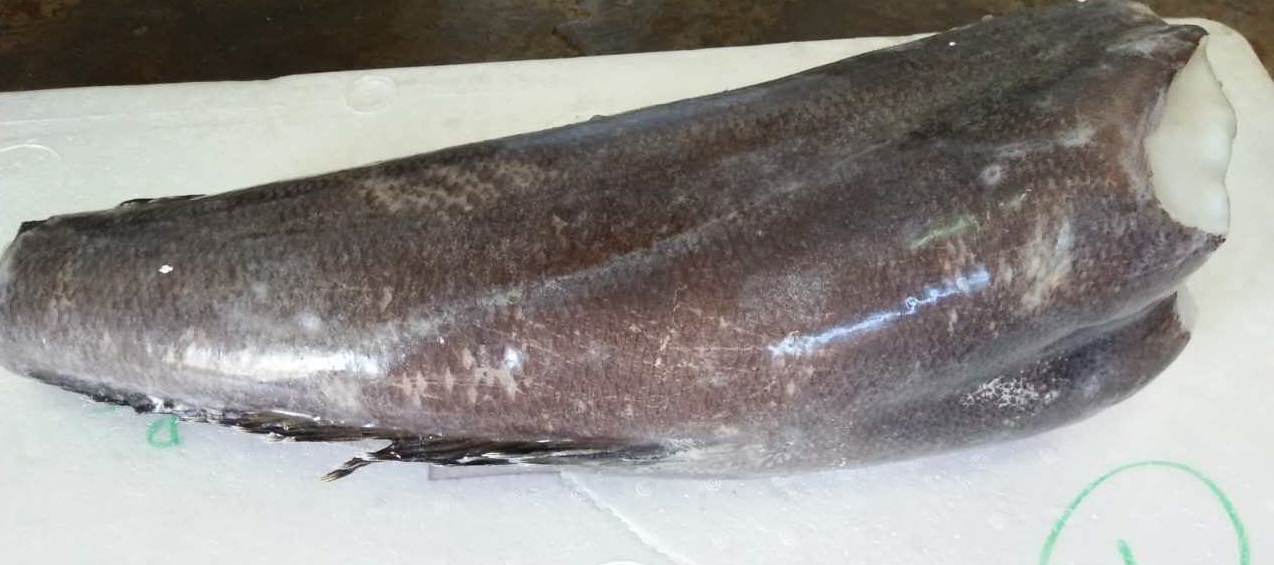 Seafoods | asiaoceanpacific