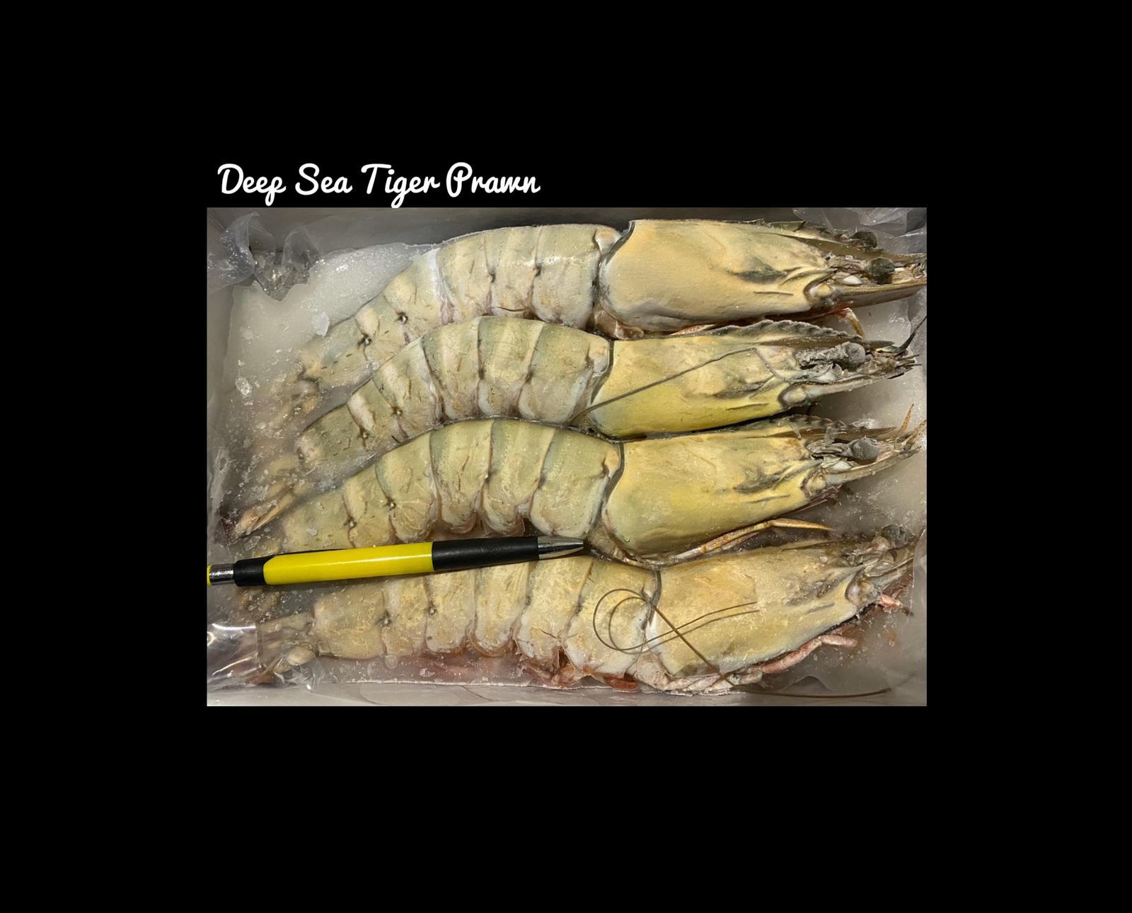 Seafoods | asiaoceanpacific