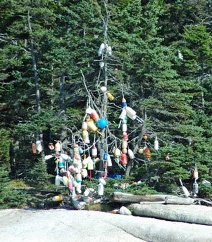 The Buoy Tree