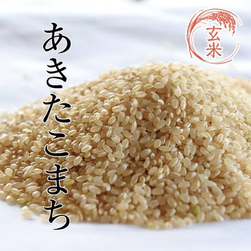 Akita Komachi Brown Rice R6 Year 秋田こまち玄米 R6年(30 KG) | My Being | Yoga ...