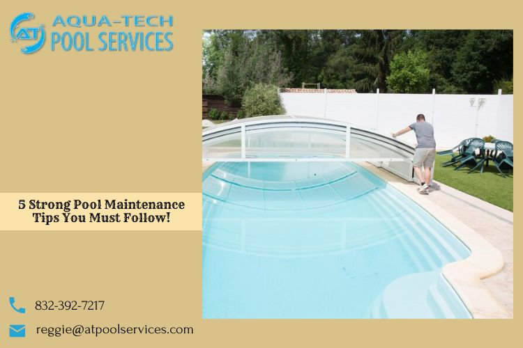 5 Strong Pool Maintenance Tips You Must Follow!