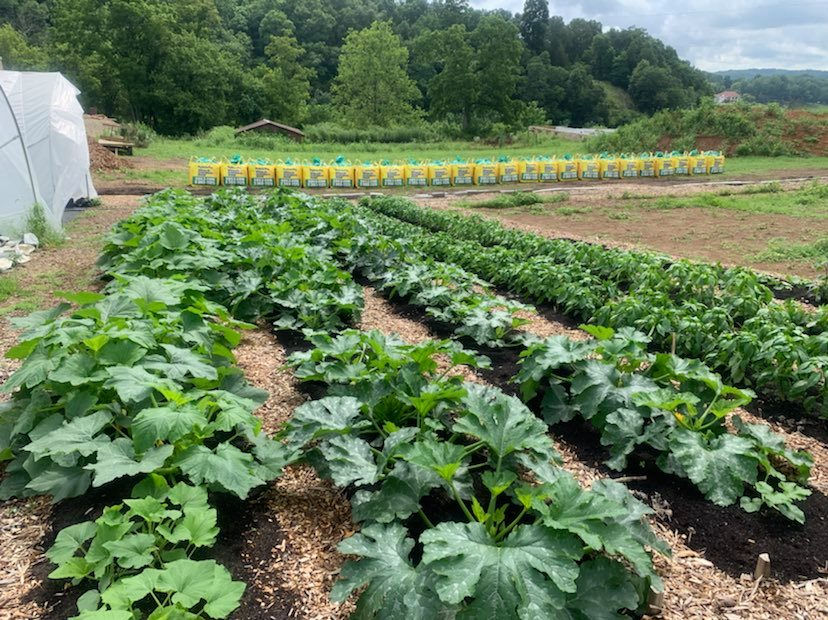 Appalachian agriculture: the future of farmers
