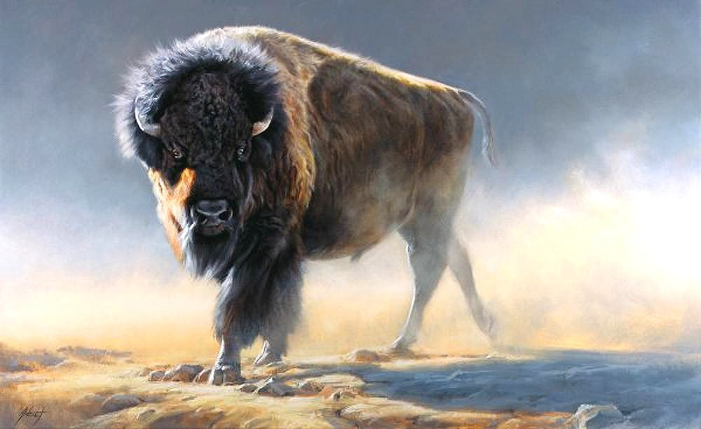 The Ghost Buffalo