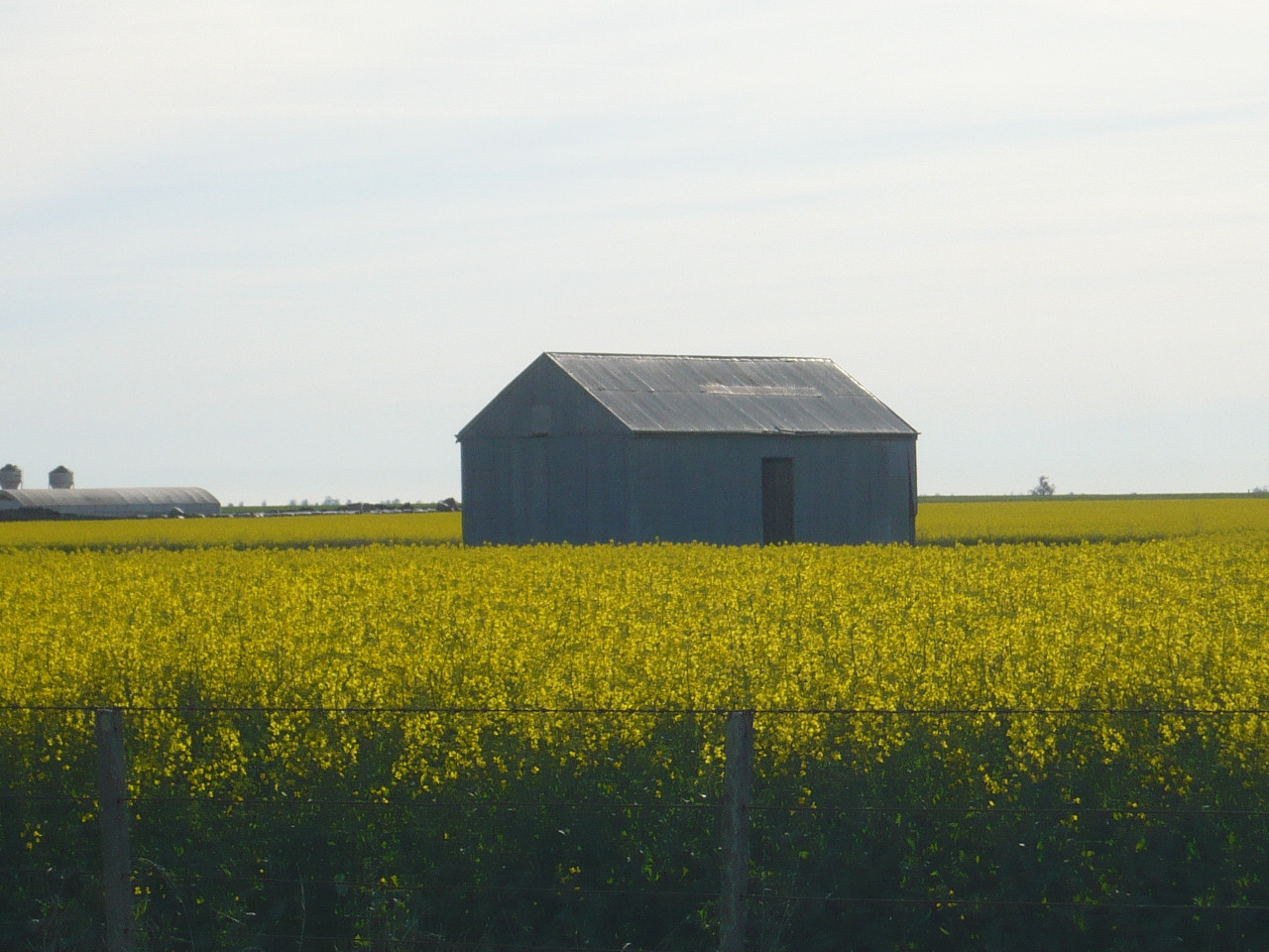 David Helms Heritage Planning