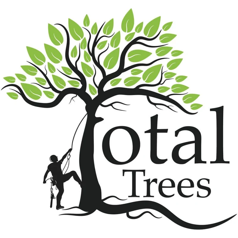 Total Trees Ltd | Tree Removal | Craigavon, UK