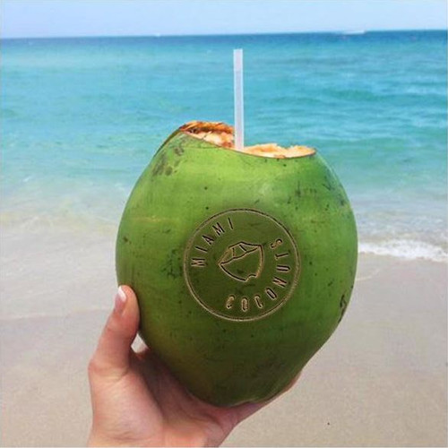 Whole Organic Coconut | Miami Coconuts