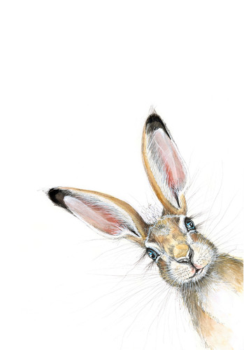 Rathlin Hare | Howell & Heritage