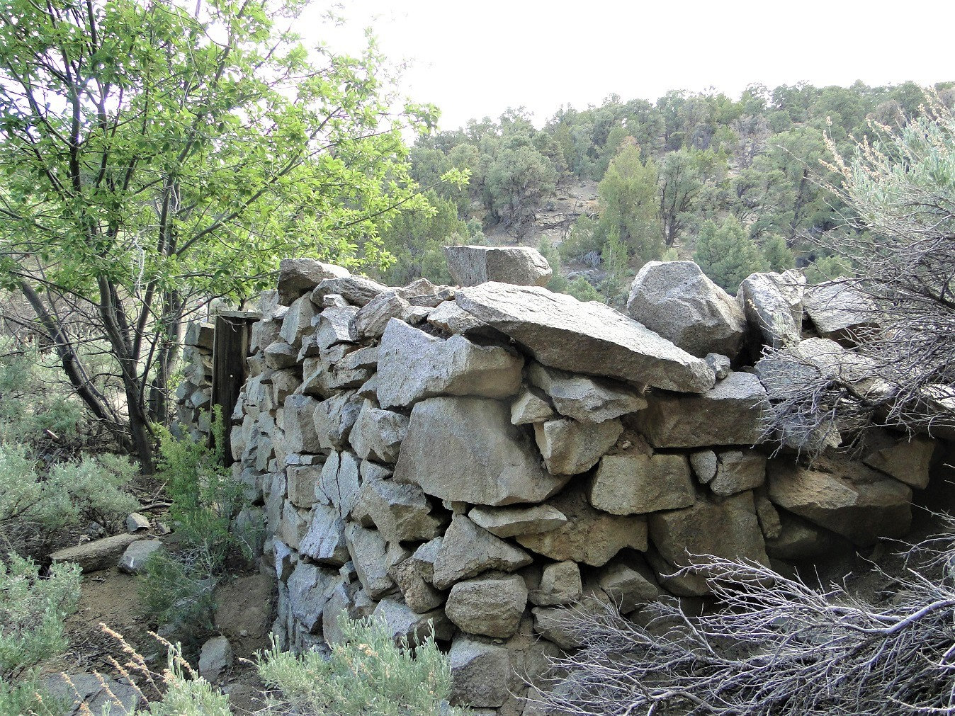 Moss Mine