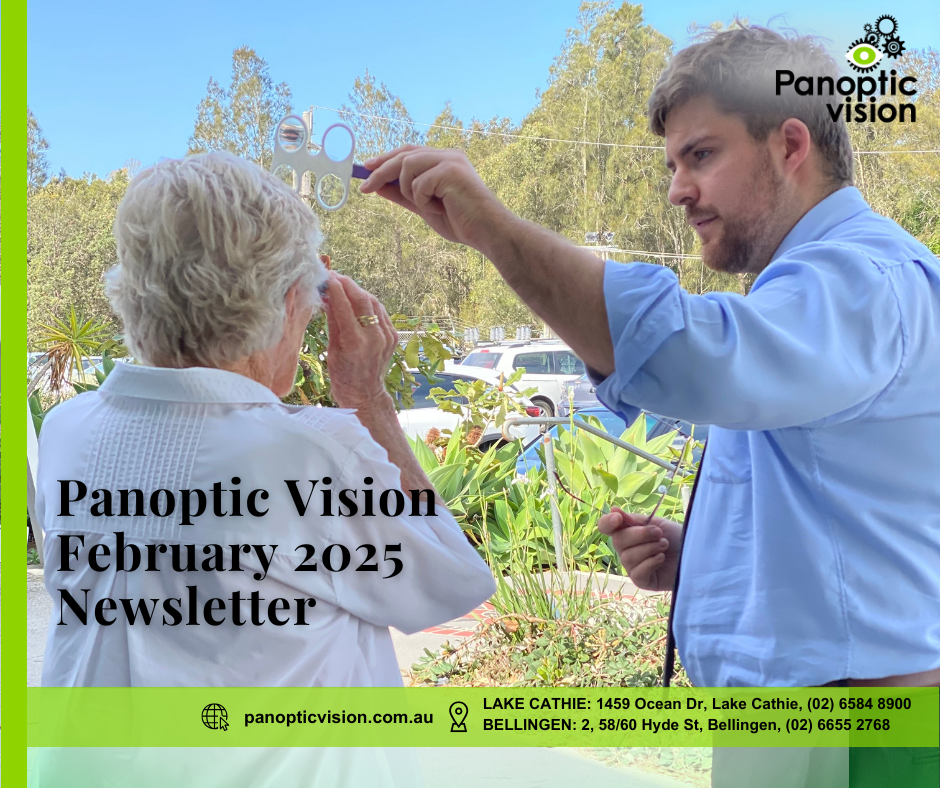 Panoptic Vision Newsletter February 2025 | Panoptic Vision Bellingen ...