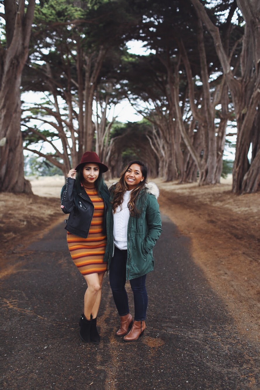 Travel Guide to Point Reyes - Justina Vanessa