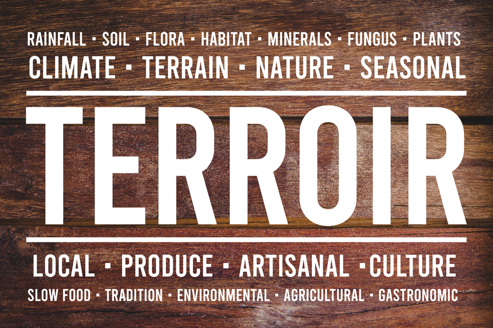 Terroir: translated