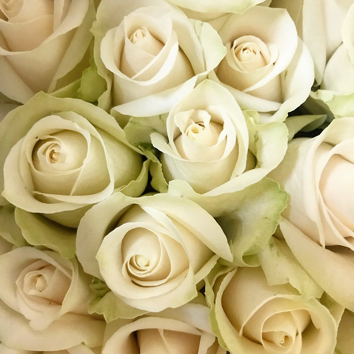 EQR - Ecuadorian Quality Roses