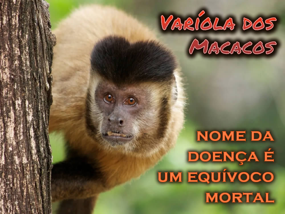 Varíola dos Macacos: nome da doença é um equívoco mortal