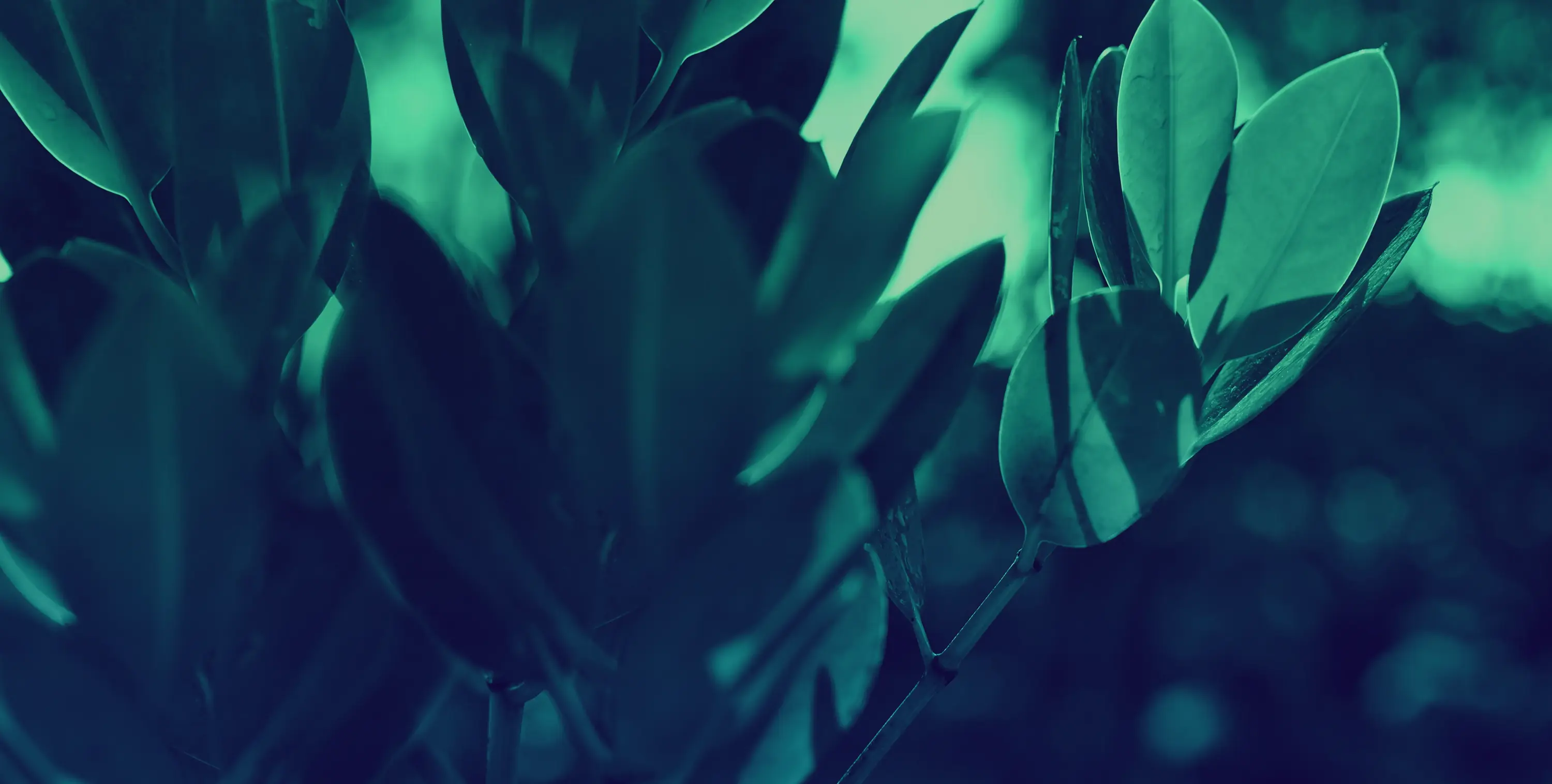 FiveFold | ESG Creative Agency