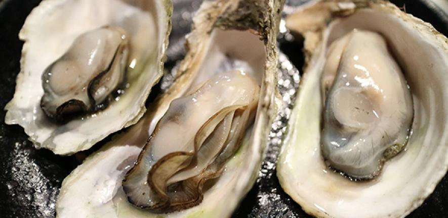 Scientists supercharge shellfish to tackle vitamin deficiency in humans