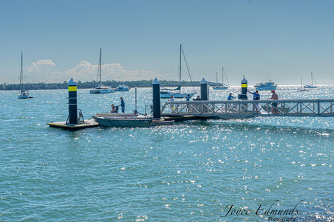 Gallery | Burrum Heads Fishing