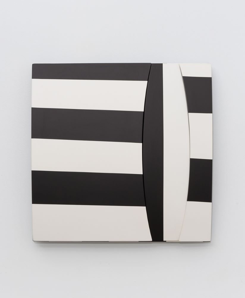 Every Night on a Flying Camel