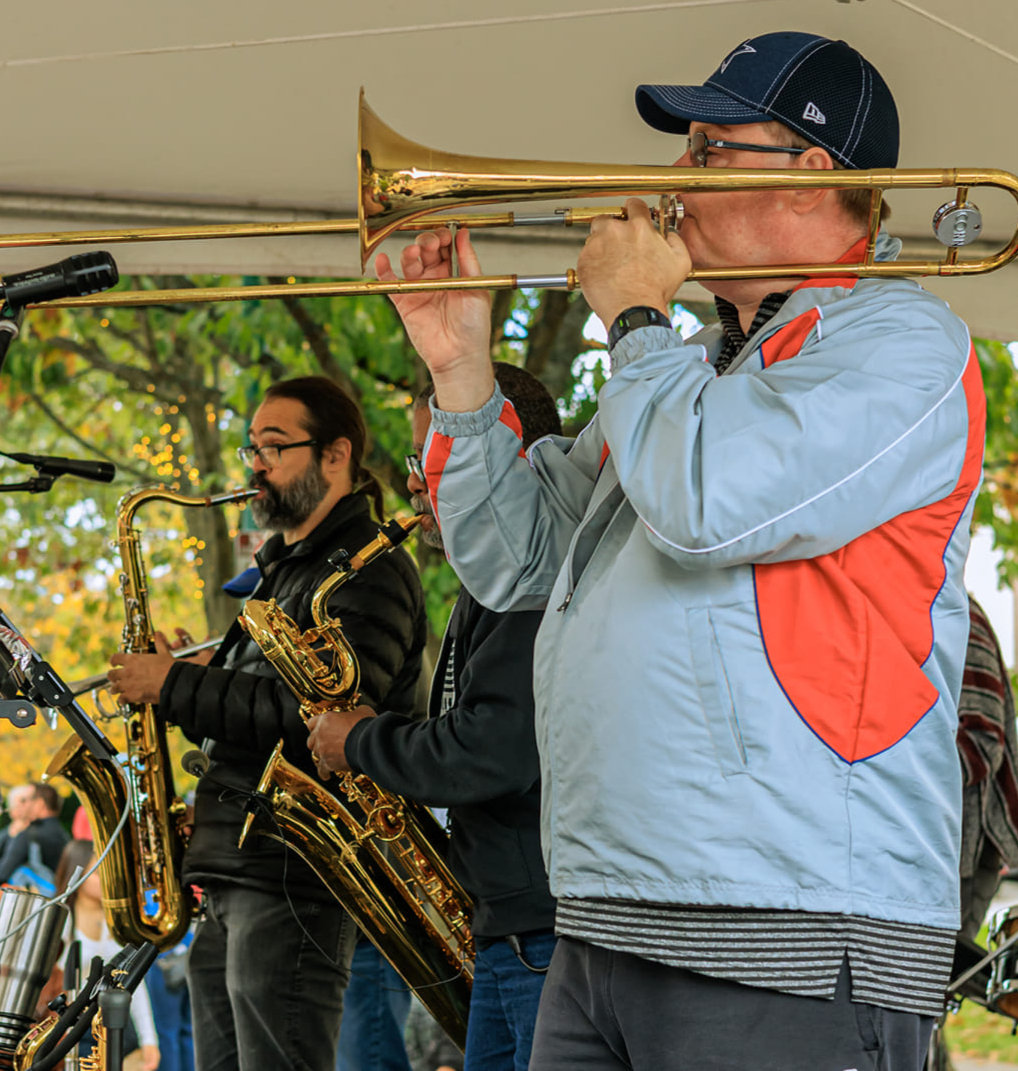 Wilkins | Variable Elements