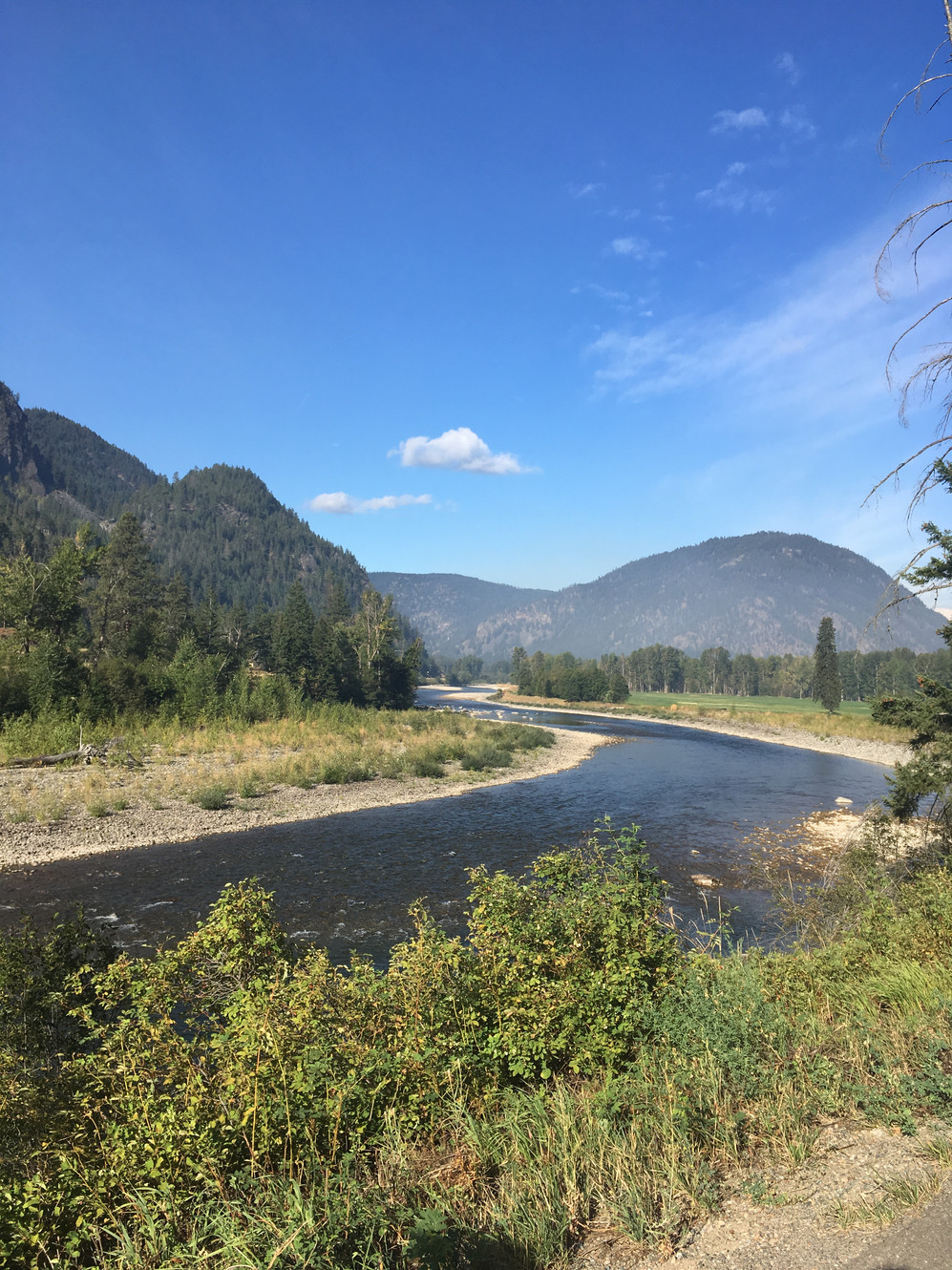 Forest Grove Messenger