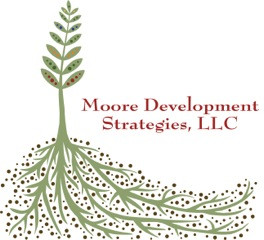 Moore Development Strategies