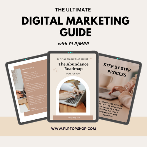 Digital Marketing Ebook Guide (The Abundance Roadmap) | PLR Top Shop