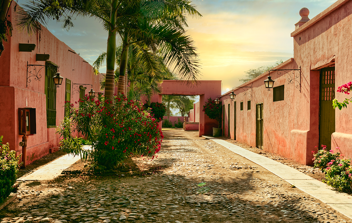 Hacienda Tacama, Ica