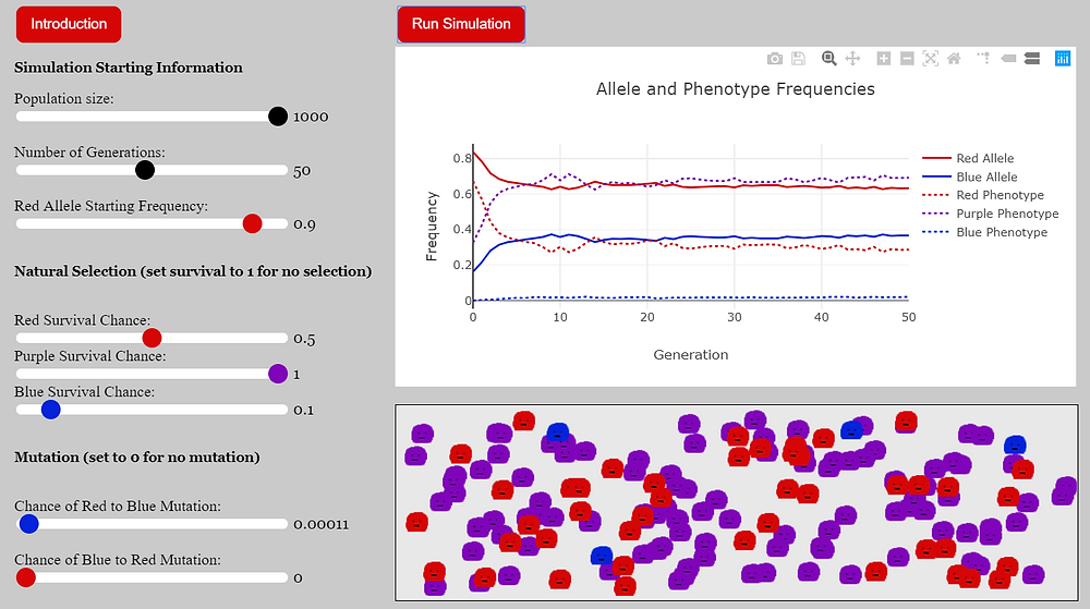 Population Genetics Simulation Explanation