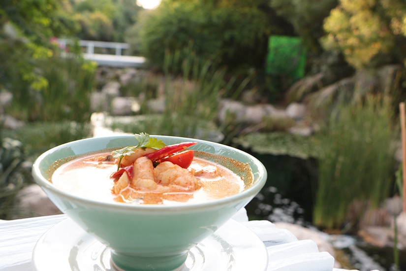 Afternoon | The Farm, Al Barari