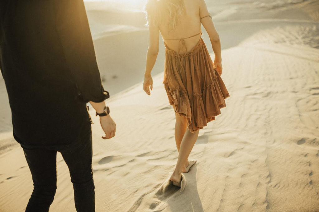 Creator | Taylor Hayden