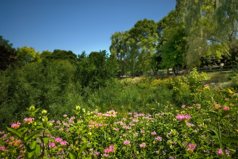 Viridian Landscape Studio | Philadelphia | Landscape Architects