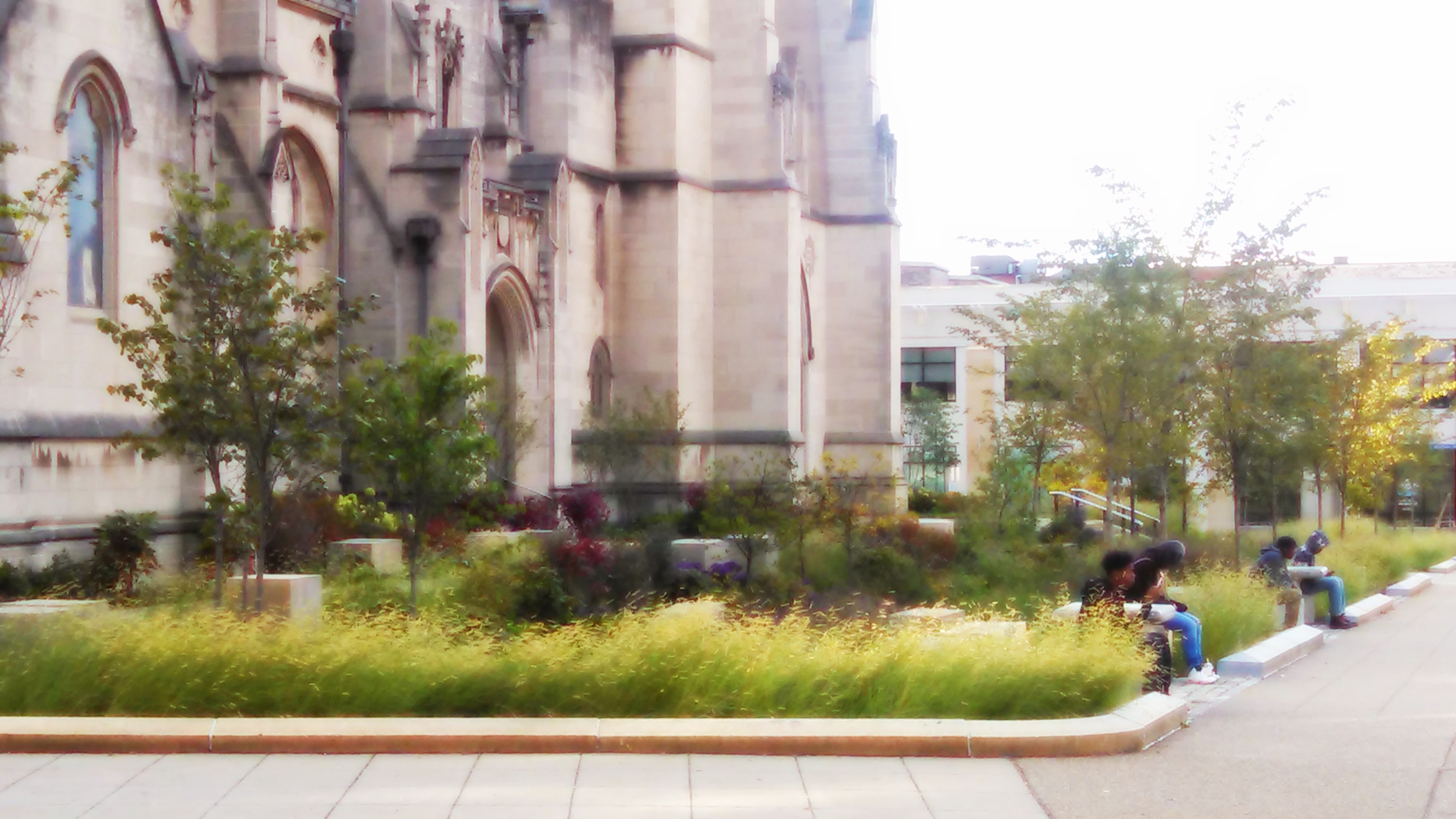Viridian Landscape Studio | Philadelphia | Landscape Architects